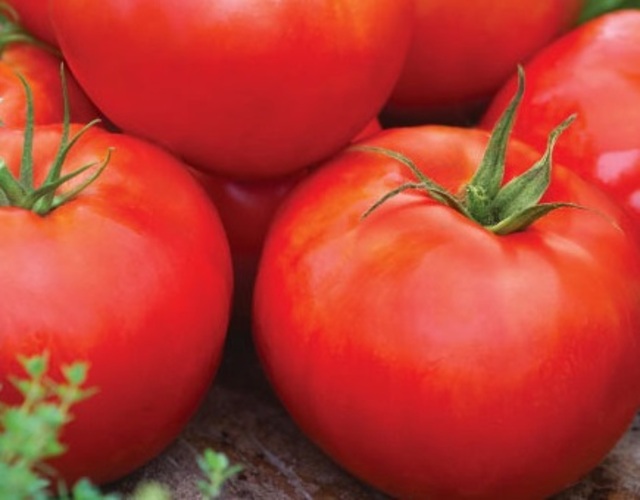 Tomato Big Boy F1 Seeds Shop Online Flower Vegetables Seeds NZ Tomato Big Boy F1 Seeds Shop Online Flower Vegetables Seeds NZ